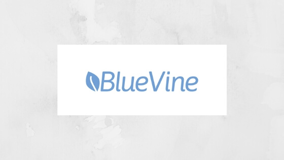 BlueVine Online Business Loan - How to Apply? – Neatpedia
